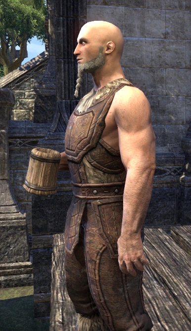 Virk | Wiki The Elder Scrolls | Fandom