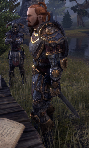 Príncipe Irnskar Elder Scrolls Fandom