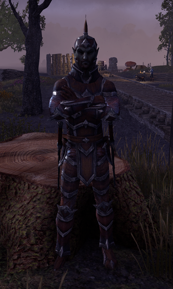 Sentry Thendur Elder Scrolls Fandom