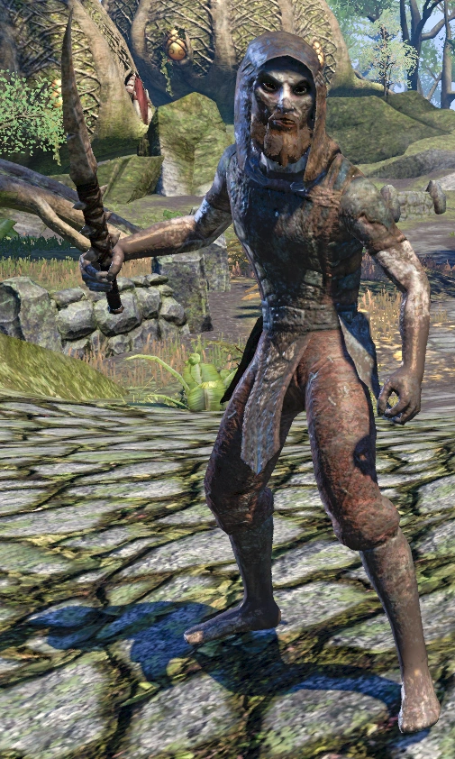 Blackroot Warrior | Elder Scrolls | Fandom