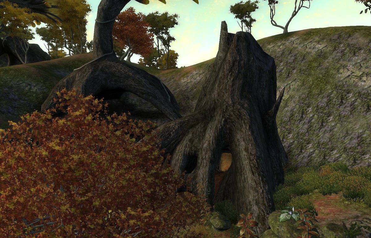 Dire Warren | Elder Scrolls | Fandom