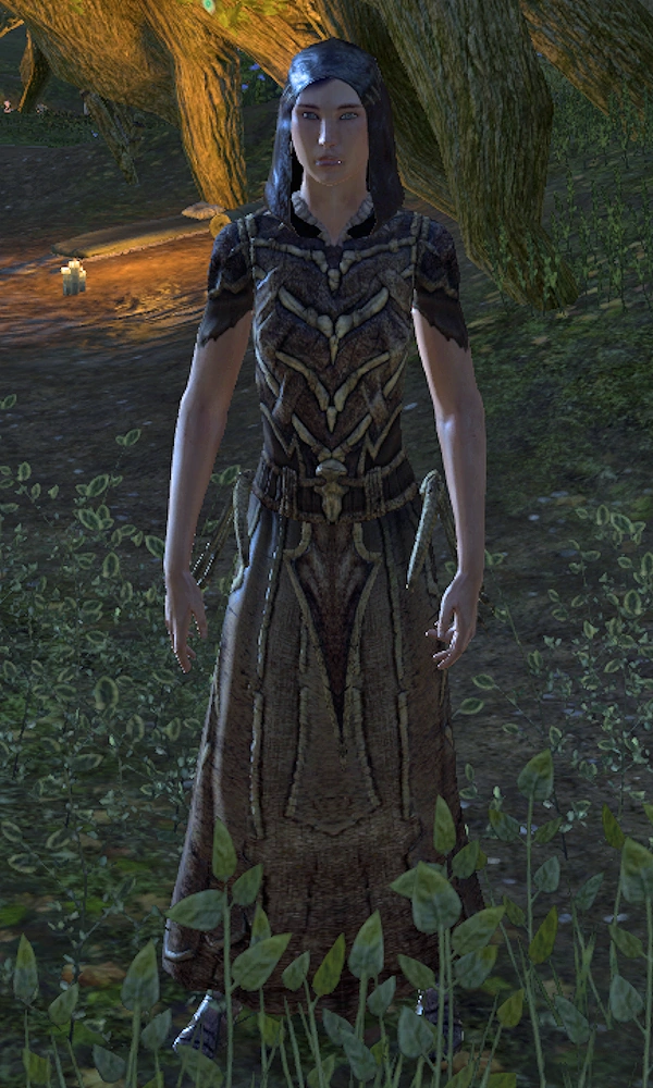 Initiate Mathilde | Elder Scrolls | Fandom