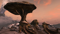 House Telvanni | Elder Scrolls | Fandom