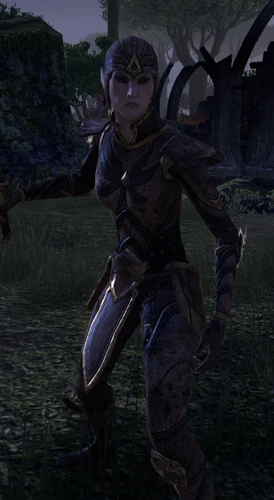 Heritance Soldier | Elder Scrolls | Fandom