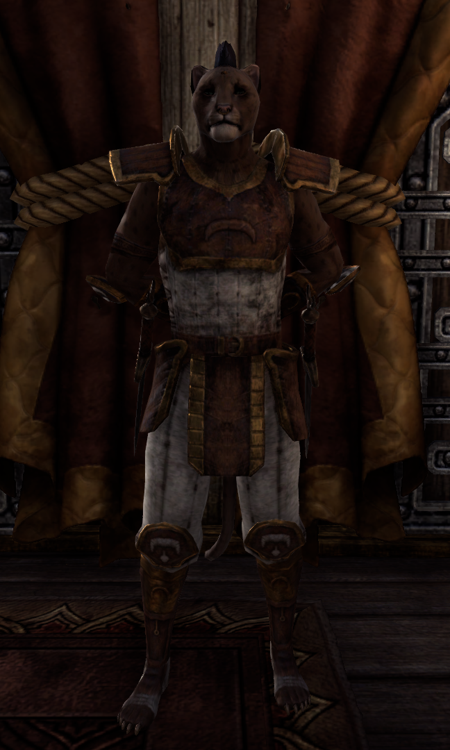 Soldat Mercenaire Wiki The Elder Scrolls Fandom