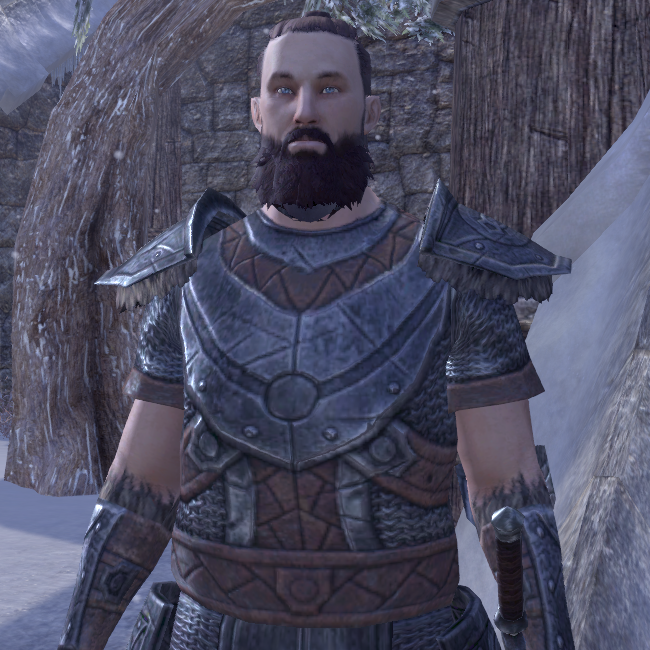 Сержант Ирингор The Elder Scrolls Wiki Fandom