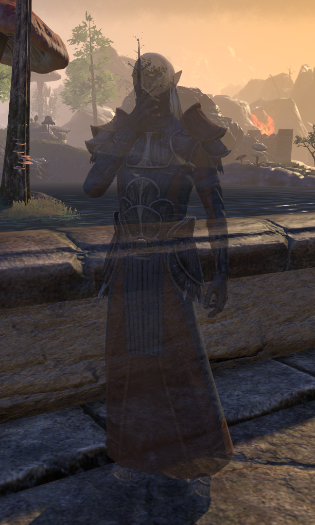 Maître Drenim Wiki The Elder Scrolls Fandom