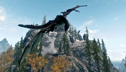Serpent Dragon Skyrim
