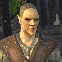 Altmer (Blades) | Elder Scrolls | Fandom