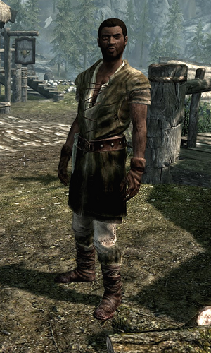 Azzada Lylvieve | Elder Scrolls | Fandom