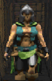 Rogue (Daggerfall) | Elder Scrolls | Fandom