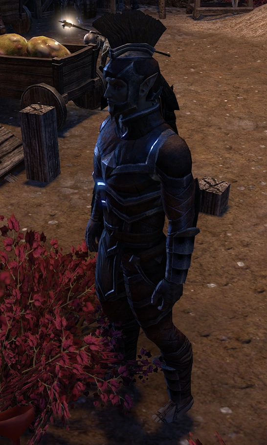 Pit Rat Ranger | Elder Scrolls | Fandom