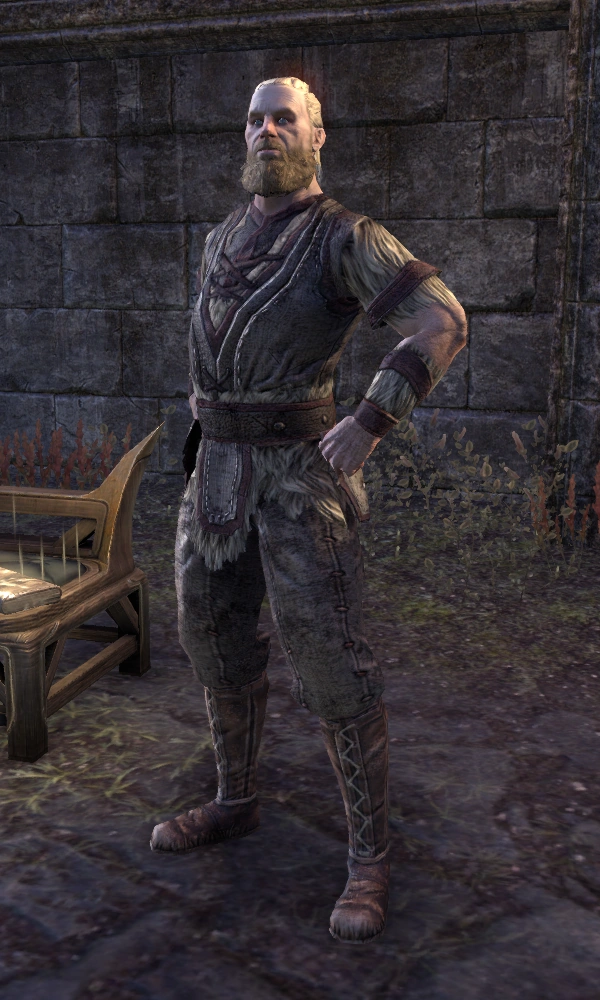 Category:Summerset: Alinor Characters | Elder Scrolls | Fandom