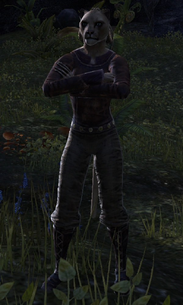Tsamara | Elder Scrolls | Fandom