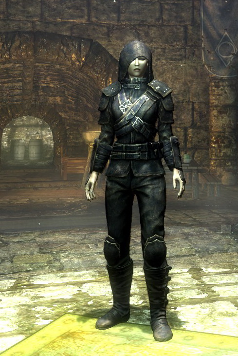 Доспех главы Гильдии The Elder Scrolls Wiki Fandom