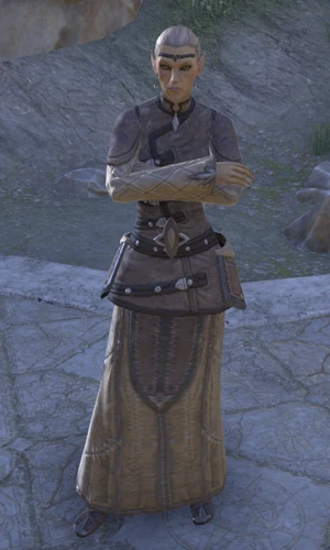 Assistant (Character) | Elder Scrolls | Fandom