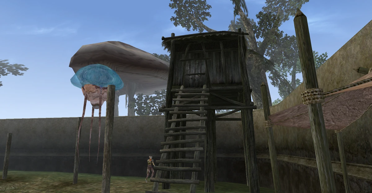 Dren Plantation, Tower Shack | Elder Scrolls | Fandom