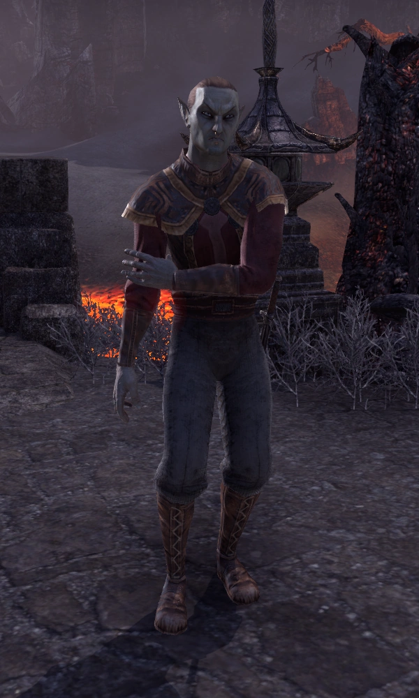 Gorvyn Dran | Elder Scrolls | Fandom