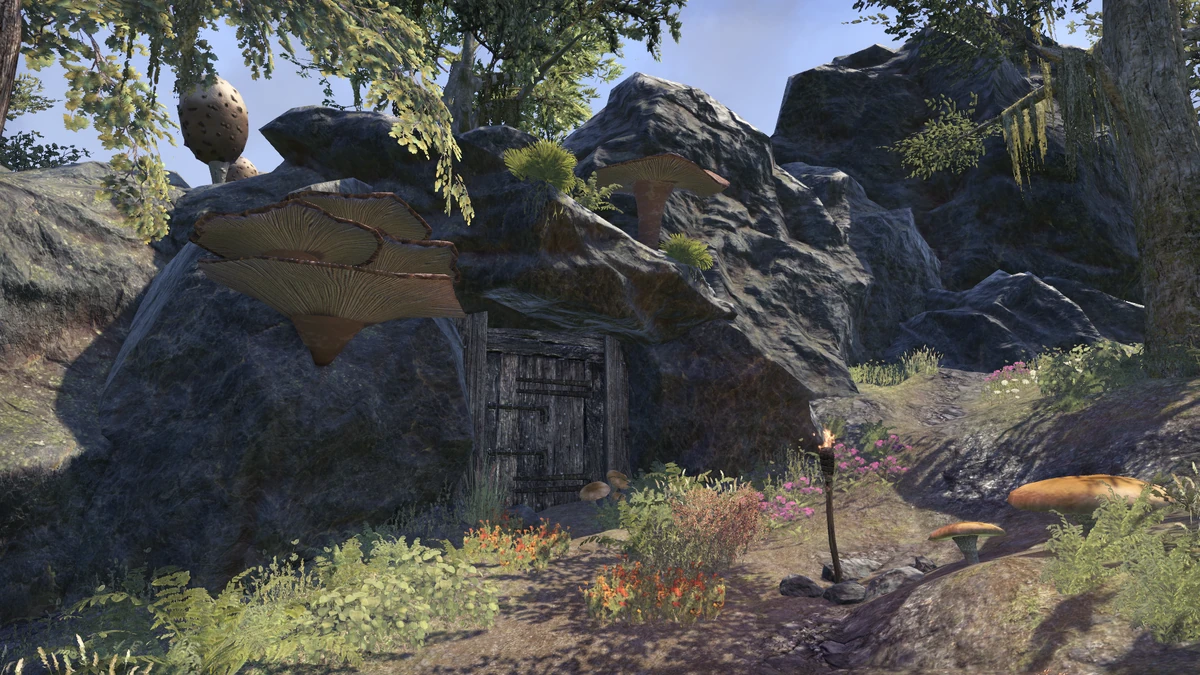 Mallapi (Online) | Elder Scrolls | Fandom