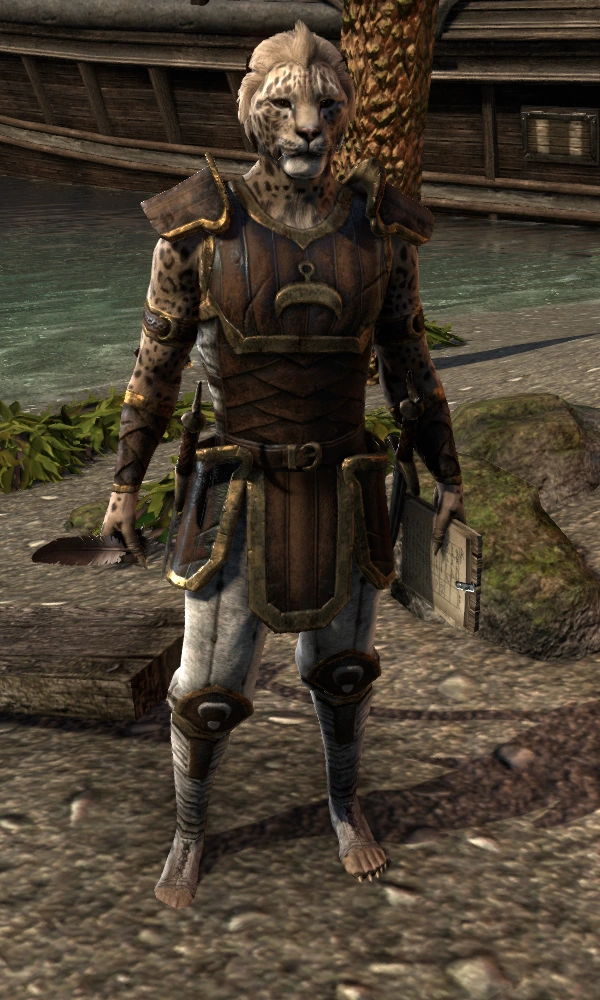 Quartermaster Oblan | Elder Scrolls | Fandom
