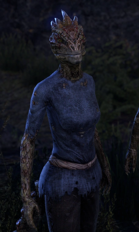 Talosha | Wiki The Elder Scrolls | Fandom