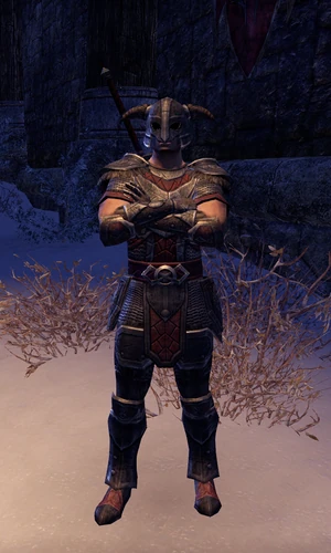 Windhelm Guard (Online) | Elder Scrolls | Fandom