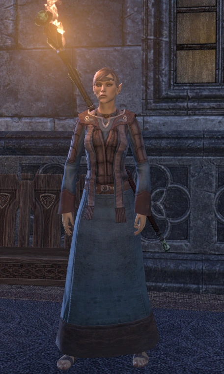 Mages Guild Destroyer | Elder Scrolls | Fandom