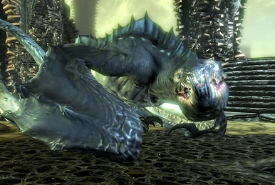 Dragon Serpentine Skyrim Skyrim The Reluctant Dragonborn (Vol 2)