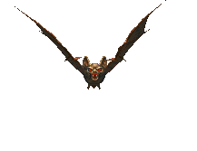 Giant Bat (Daggerfall) | The Elder Scrolls Wiki | Fandom