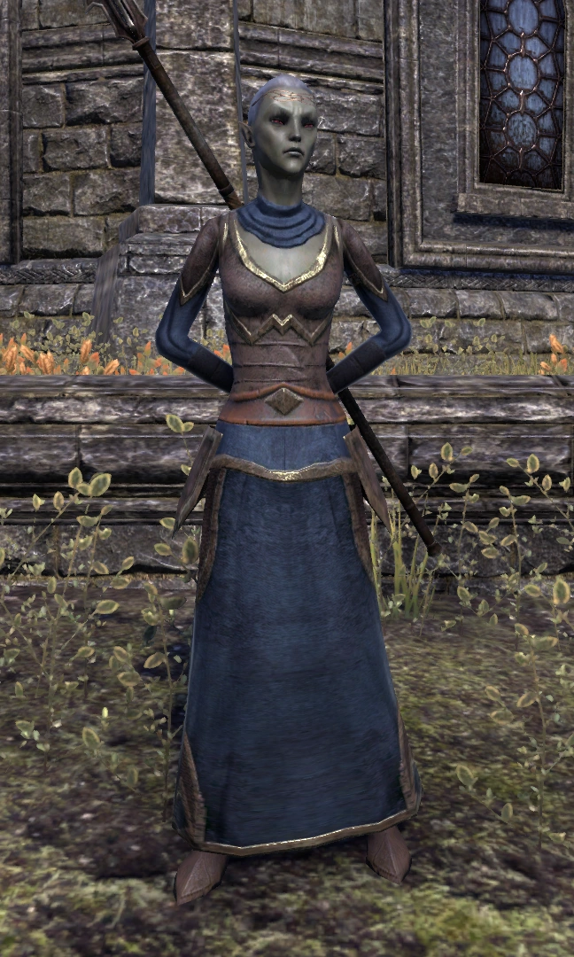 Instructrice Mirasa | Wiki The Elder Scrolls | Fandom