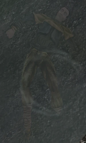 Ruran Stoine | Elder Scrolls | Fandom