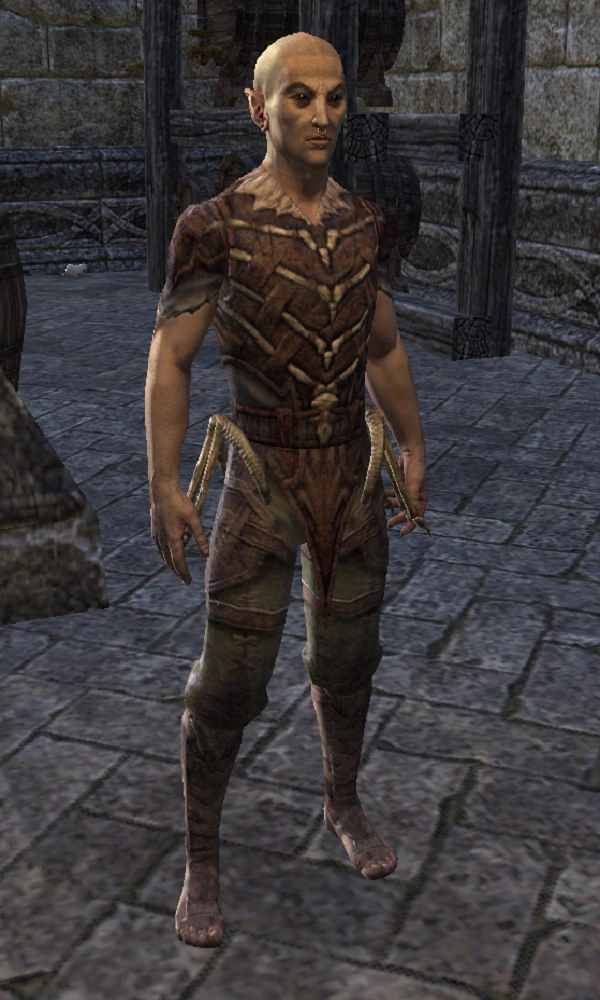 Vulkhel Wharfrat | Elder Scrolls | Fandom