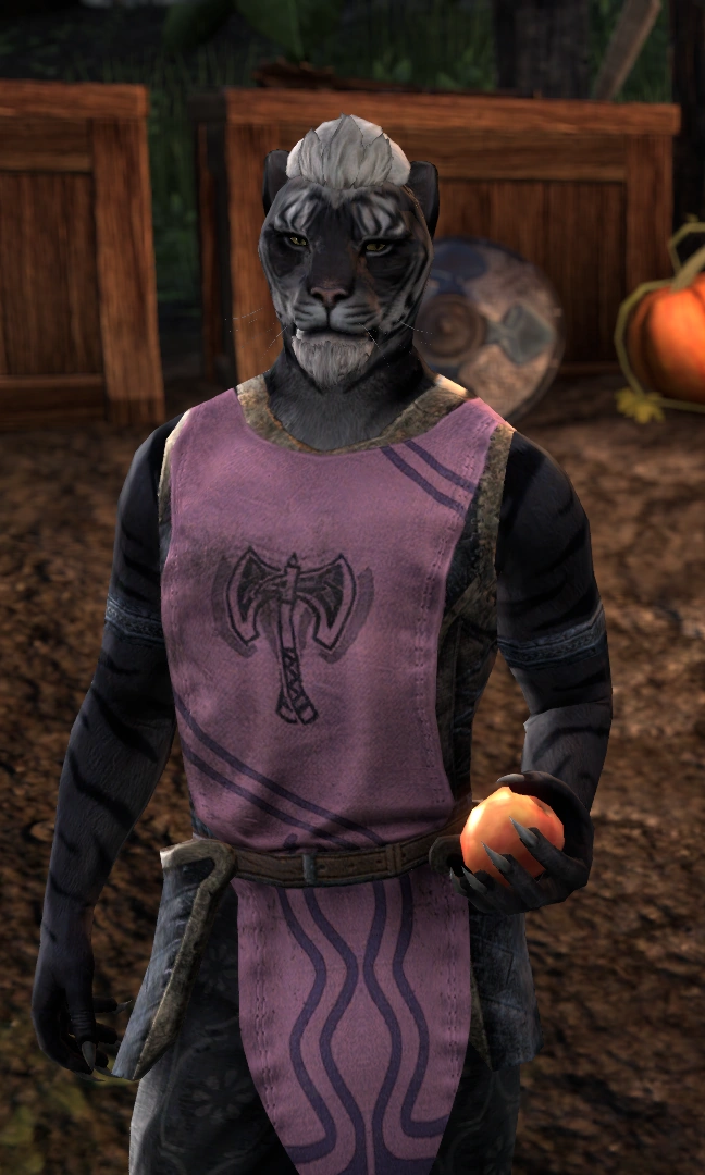 Mizul | Wiki The Elder Scrolls | Fandom