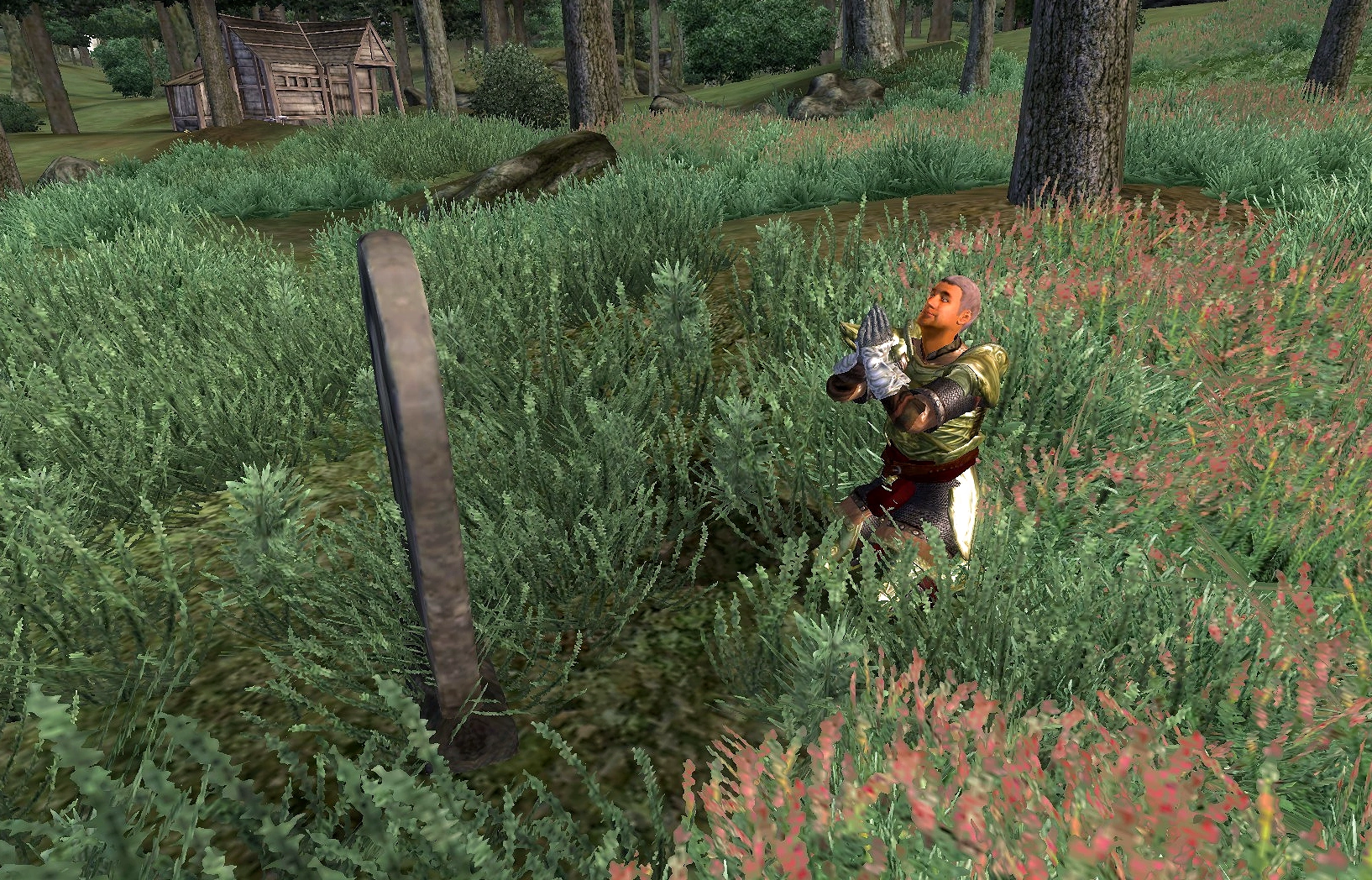 Molag Bal (Quest) | Elder Scrolls | Fandom