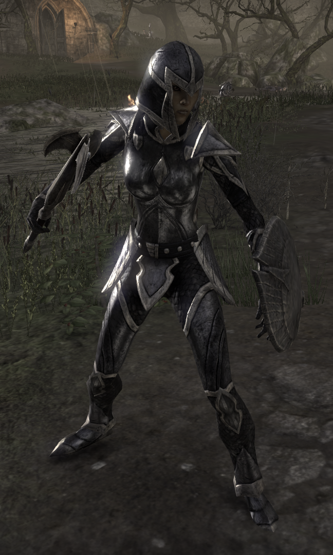Soldat Direnni Wiki The Elder Scrolls Fandom