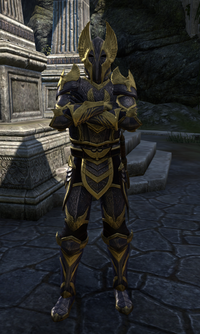 Garde Dhonneur Du Domaine Wiki The Elder Scrolls Fandom