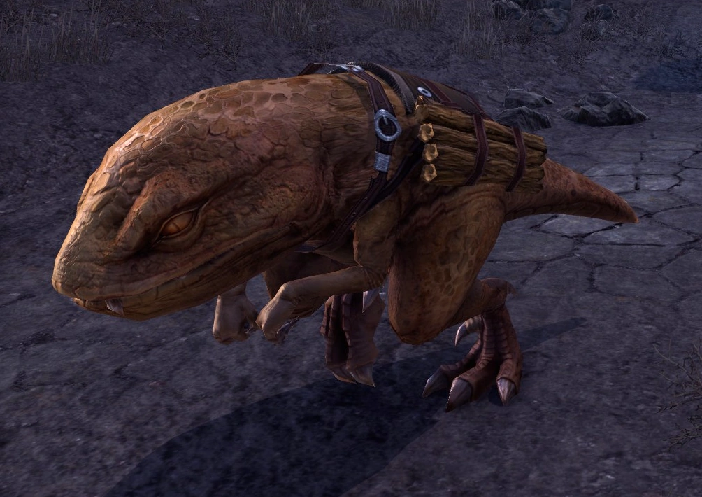 Pack Guar Morrowind