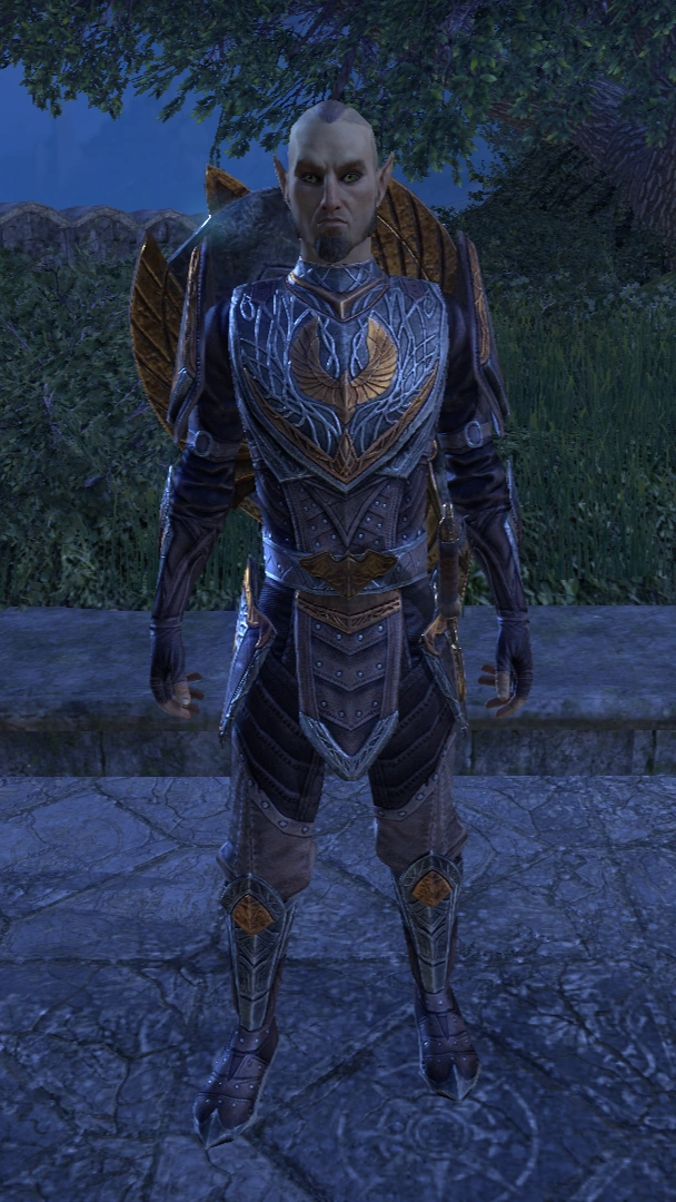 Nirunar | Wiki The Elder Scrolls | Fandom