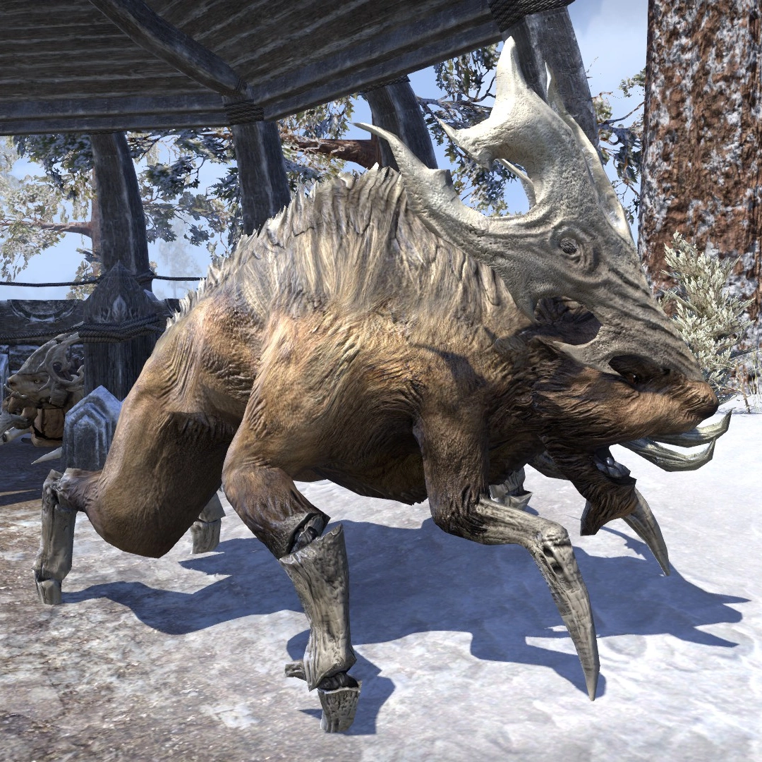 Woolly | Elder Scrolls | Fandom