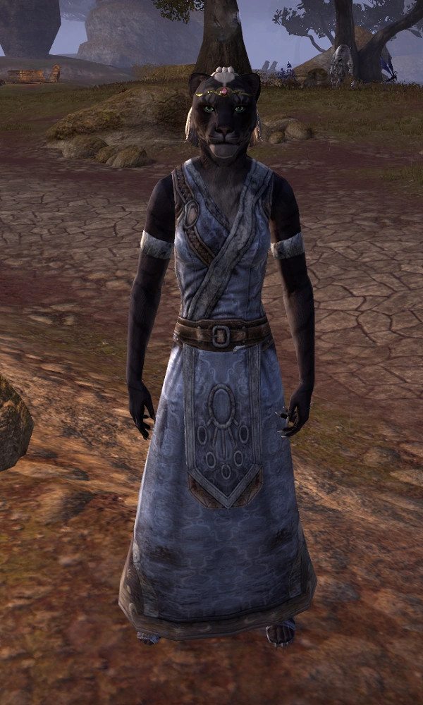 Azahrr | Elder Scrolls | Fandom