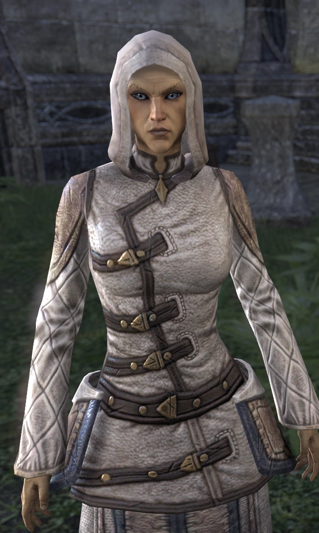 Acolyte du temple (Auridia) | Wiki The Elder Scrolls | Fandom