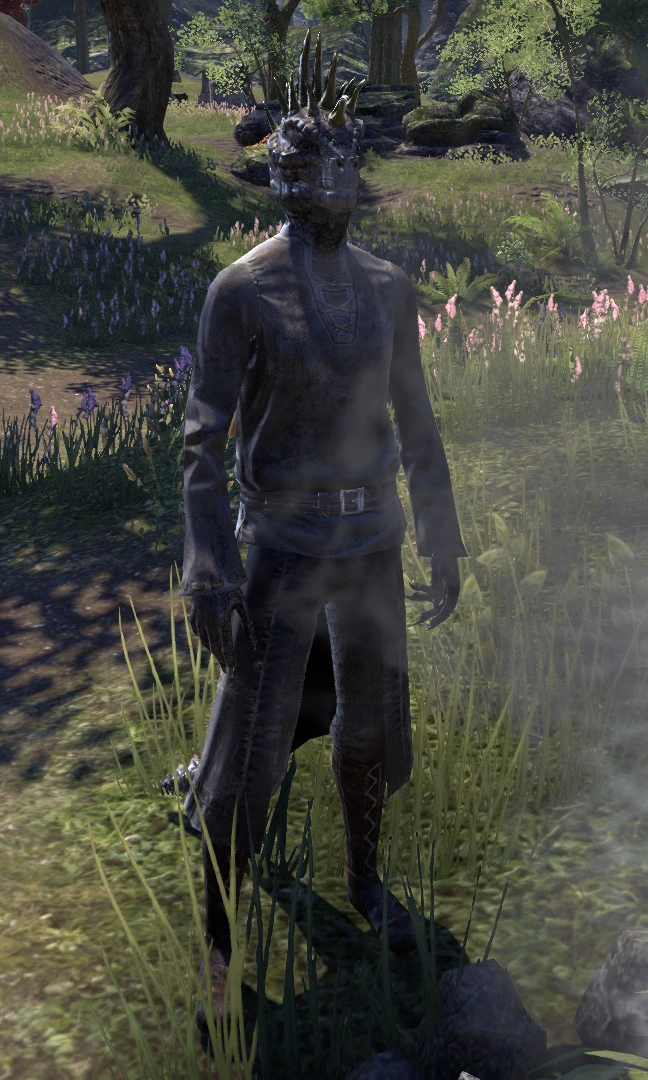 Ei-Ei | Wiki The Elder Scrolls | Fandom