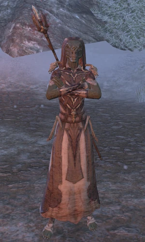 Gladiator Fearmage | Elder Scrolls | Fandom