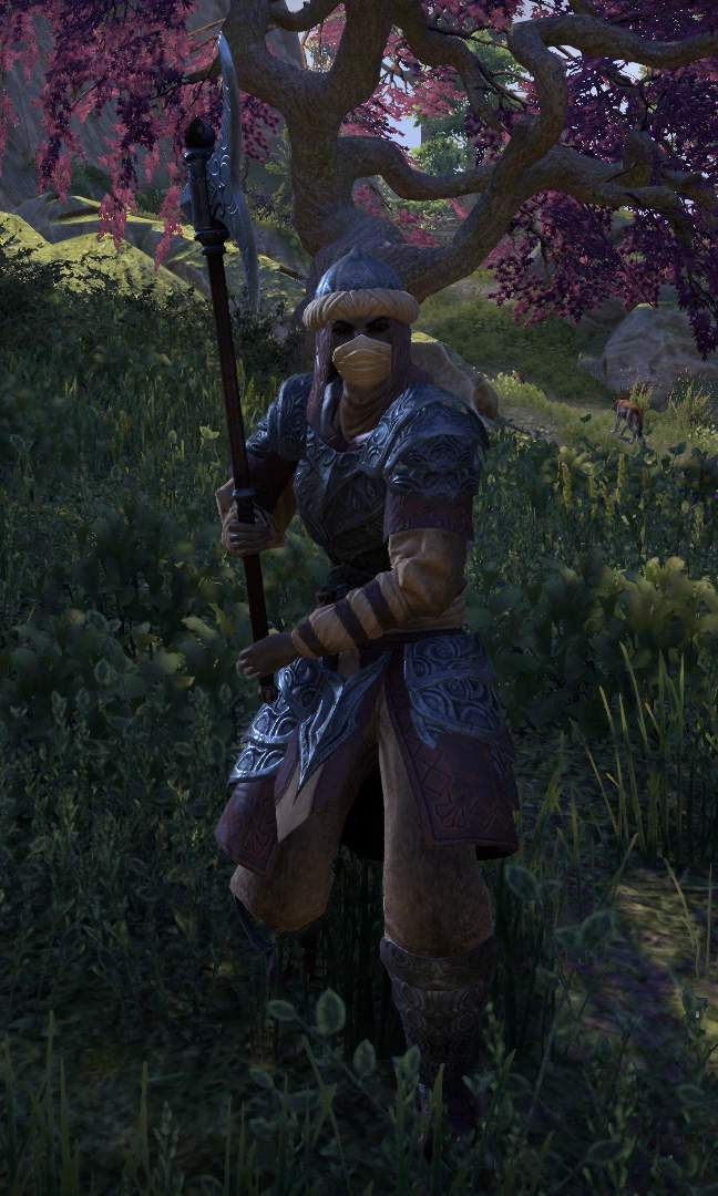 Night Runner Brigand | Elder Scrolls | Fandom