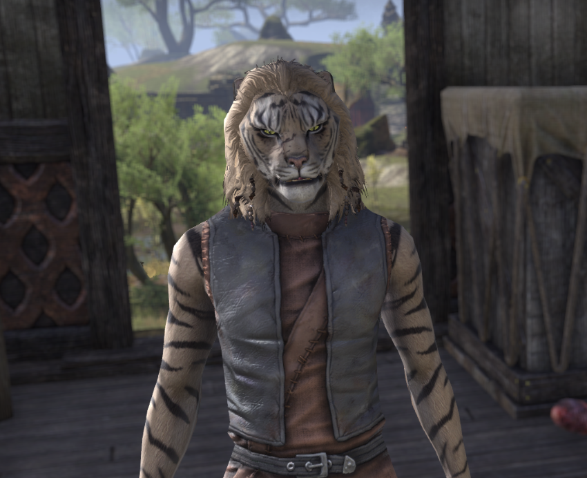 Пепельный Хвост The Elder Scrolls Wiki Fandom