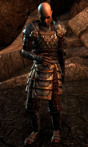 Defender Two-Blades | Elder Scrolls | Fandom