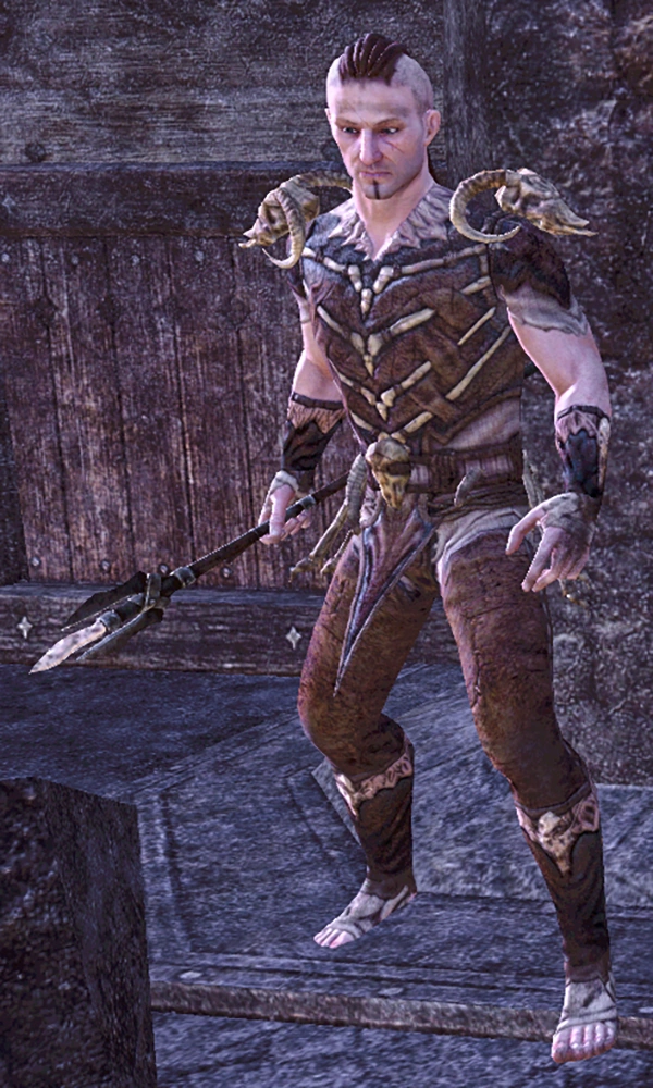 Shadowed Path Magister | Elder Scrolls | Fandom