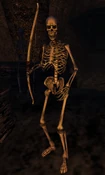 Skeleton (Morrowind) | Elder Scrolls | Fandom