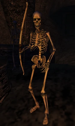English Longbowmen Skeleton
