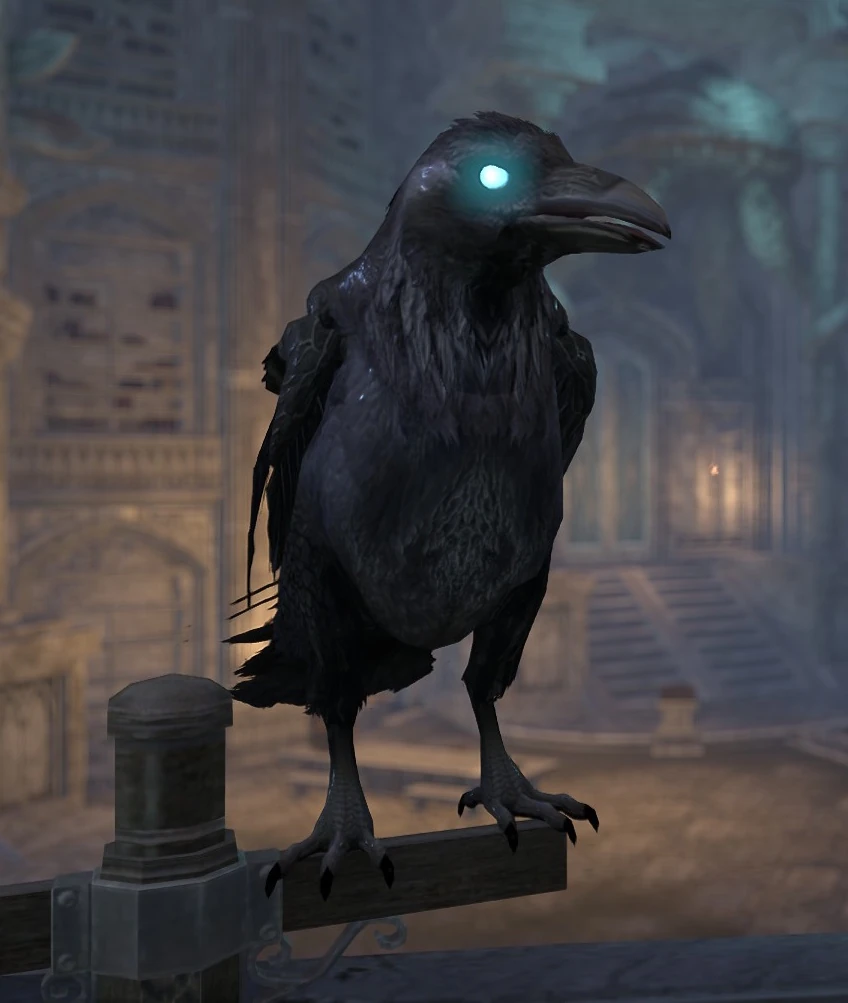 The Crow | Elder Scrolls | Fandom